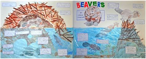 Richard Johnson On Linkedin Dataviz Datastorytelling Infographics Datavizualization Canada