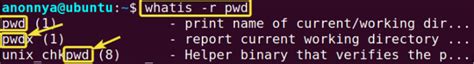 The Whatis” Command In Linux 12 Practical Examples
