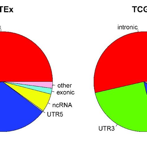 Pie Charts Display The Distribution Of Rna Editing Positions By Download Scientific Diagram