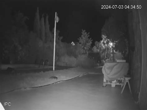 Catdetection Object Detection Dataset And Pre Trained Model By