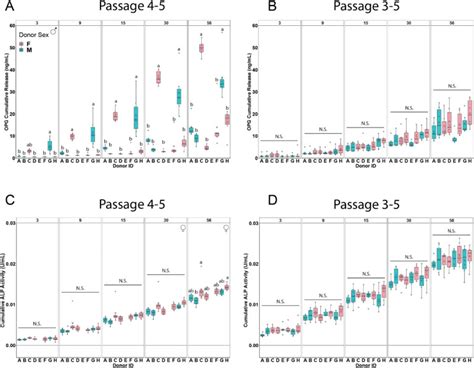Donor Variability In Human Mesenchymal Stem Cell Osteogenic Response As