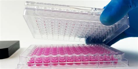 Mastering Metabolic Analyses With Optimized Normalization Methods Lab Manager