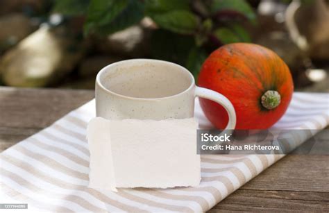 화창한 날에는 하얀 체크 무늬 담요에 오렌지 호박을 곁들인 커피 컵 도자기 머그잔을 클로즈업합니다 빈 카드 모형 가을 야외 식사