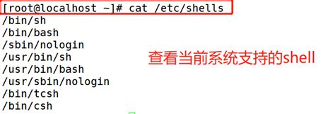 Shell脚本基础shell Csdn博客
