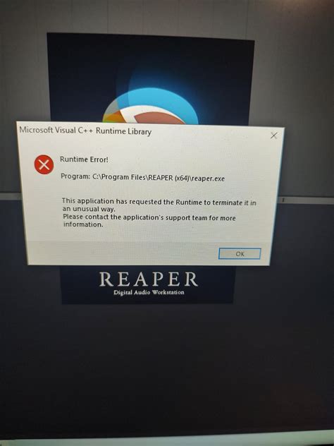 Runtime Error Rreaper
