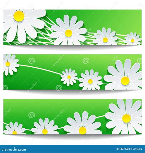3d Flower Chamomile Spring Background Abstract Vector Illustration 34329680
