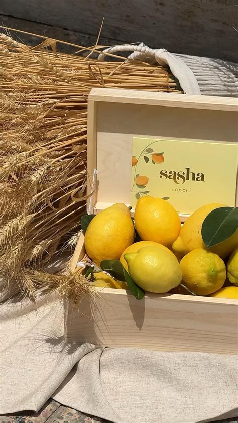 Sasha Loochí Sashaloochi Profile Pinterest