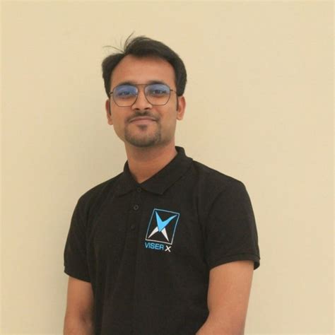 Paper Wasp Nest Vs Bald Faced Hornet Nest Key Differences