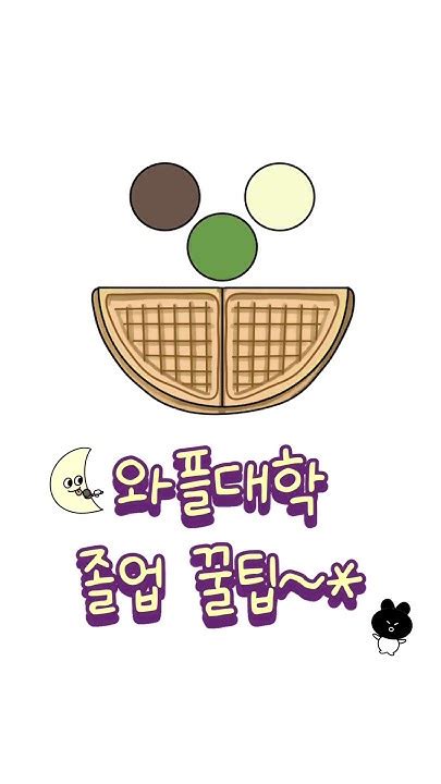 와플대학에서 기본와플만 사는 이유 젤라또와플 2프로부족할때 와플대학 플레인와플 베스킨라빈스 파인트 아이스크림와플