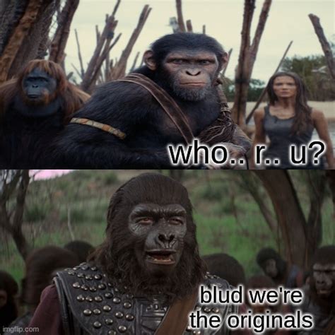 Kingdom Of The Planet Of The Apes Meme Imgflip
