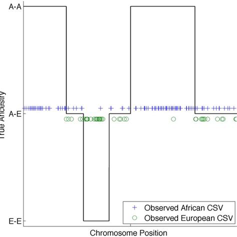 example of csvs in a 2 way admixed individual e g african