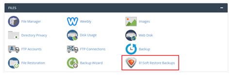 Getting To Know Your R1soft Restore Backups Global