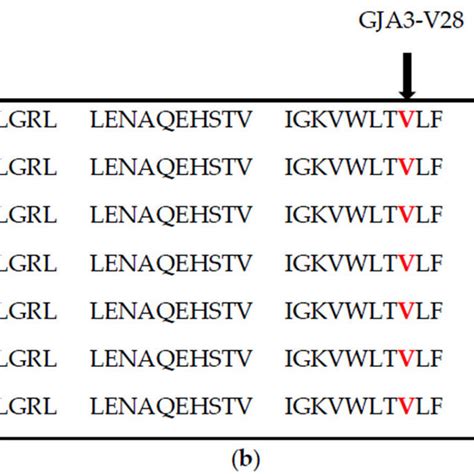 a the multiple sequence alignments from different vertebrate