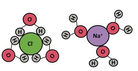 General Biology 1 Midterm Exam Prep Part 1 Of 3 Practice Questions