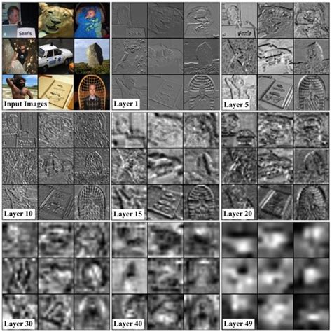 Visualization Of Example Features Of Layers 1 10 20 30 40 And 49