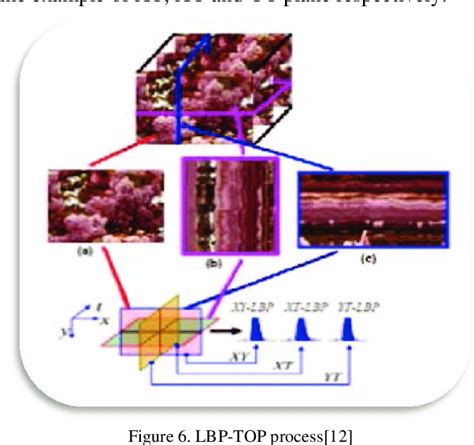figure 6 from fire detection on video using vibe algorithm and lbp top