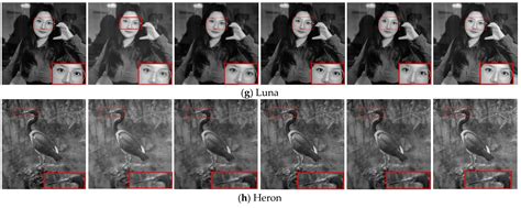 Compressed Adaptive Sampling Rate Image Sensing Based On Overcomplete Dictionary