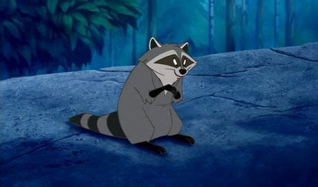 Pocahontas Disney Raccoon