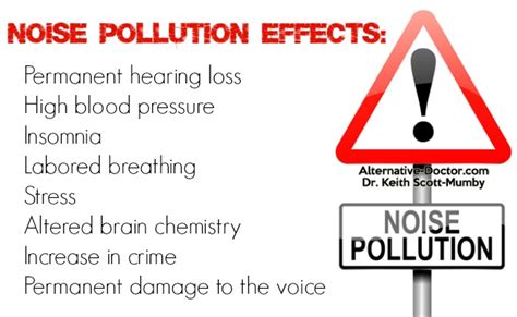 Noise Pollution Effects Can Noise Make You Stupid