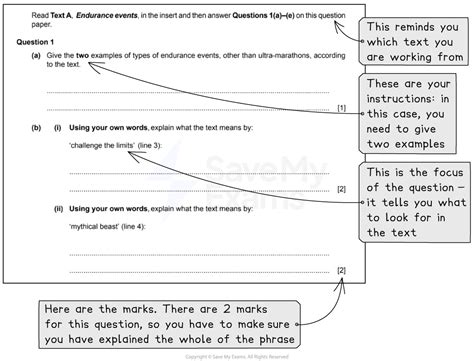 Igcse Reading Comprehension Worksheets Reading Comprehension Worksheets