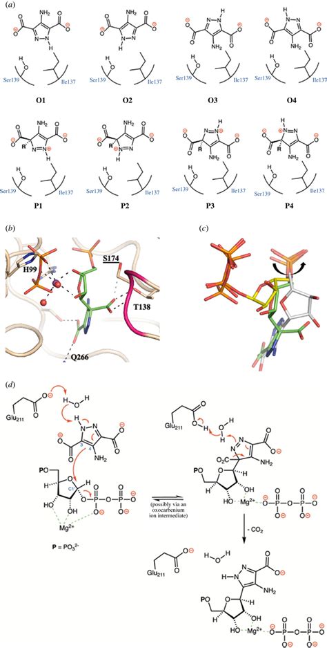 A Schematic Representations Of The Cluster Models Used In The Qc