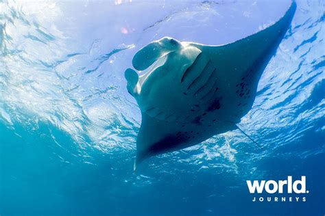 Amilla Resort World Journeys New Zealand