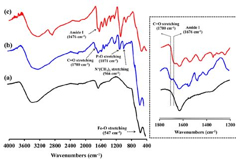 Atr Ftir Spectra Of A Mnps B Pmampc Mnps And C Download