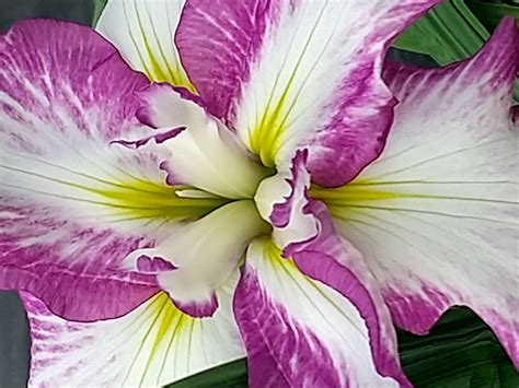 未曽有の危機 不安の中でどう過ごすか 西田スガオ 芸術と武道と日常生活を語る