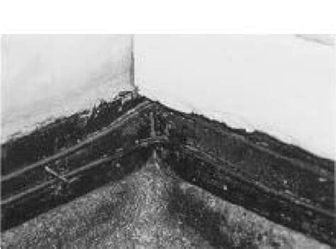 Performance Experiment Arrangement Download Scientific Diagram