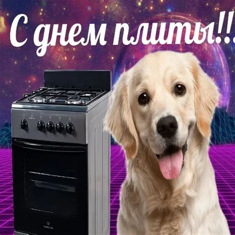 Telegram Sticker 🍺 From «С днем цемента Pack
