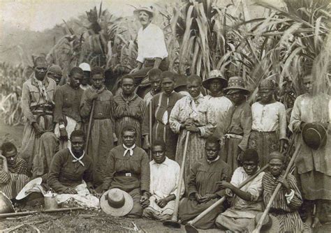 Blackbirding Pacific Islands Indigenous Peoples Colonialism Britannica