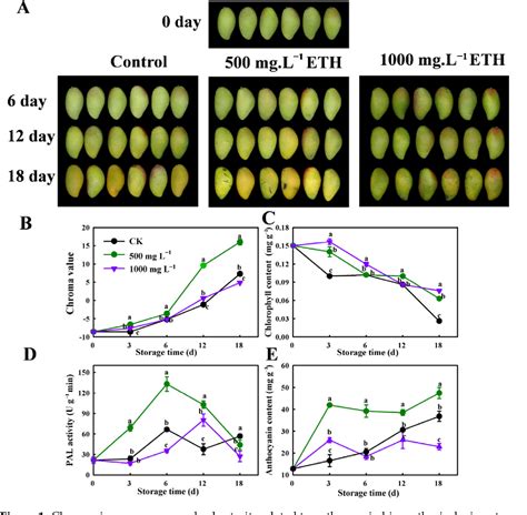 Figure 1 From The Transcription Factor Mimyb8 Suppresses Peel