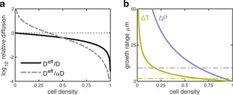Effect Of Density Of Cells On Diffusion Of Molecules A Dependence Of