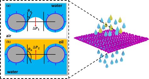 Schematic Diagram Of Wetting Model A Water Wetting Model In Air B Oil Download Scientific