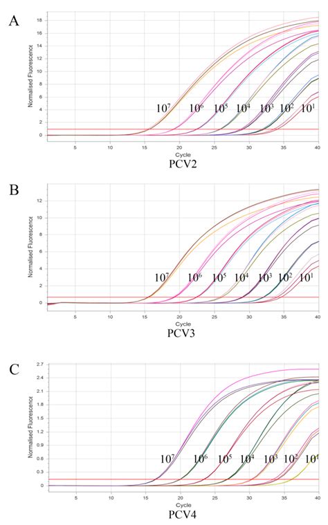 Development Of A Taqman Probe Based Multiplex Real Time Pcr For The Simultaneous Detection Of