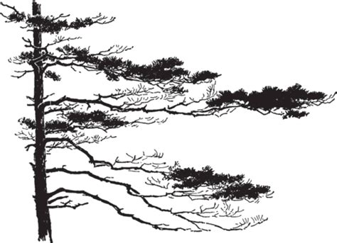 Tree Line Art Vector Art PNG Images Free Download On Pngtree