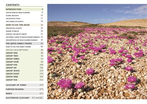 Field Guide To Wild Flowers Of South Africa Struik Nature