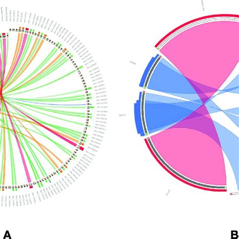 Correlation In Total Transcripts Coding Transcripts And Alnc Lncrnas