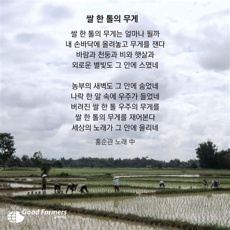 Good Farmers 사단법인 굿파머스 오늘의 착한한줄 5 쌀 한 톨의 무게 쌀 한 톨의 무게는 얼마나 될까 내 손바닥에 올려놓고 무게를 잰다 바람과 천둥과