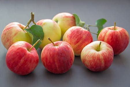 Royalty Free Photo Red Apple On Green Grass Pickpik