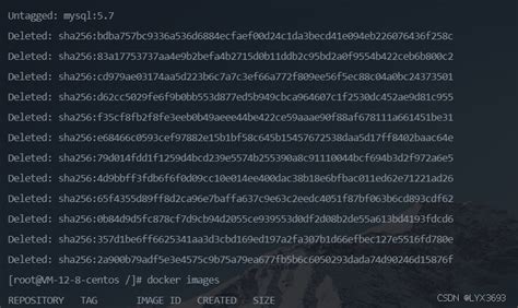 docker卸载和安装 csdn博客