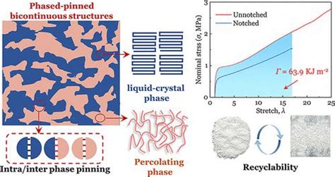 Phase Pinned Bicontinuous Structures Reconciling With The Superior Fracture Toughness And