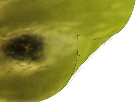 Create A Realistic Page Curl In Photoshop