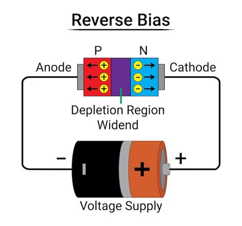 Forward Vs Reverse Bias Diode At Alyssa Coode Blog