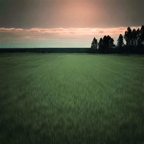 Grass Horizon By Johnthedowe2 On Deviantart