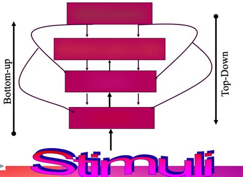 Cognitive Psychology History Methods And Paradigms Week 1 Diagram Quizlet