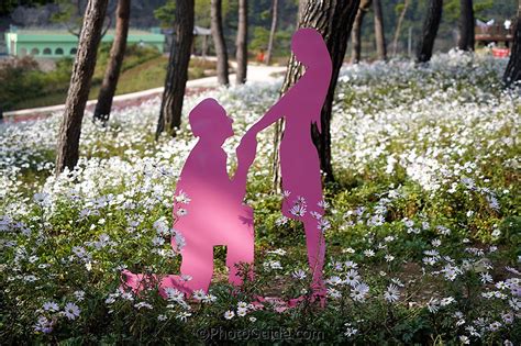 부부 십계명 좋은 글 사진 이미지 무료 다운로드