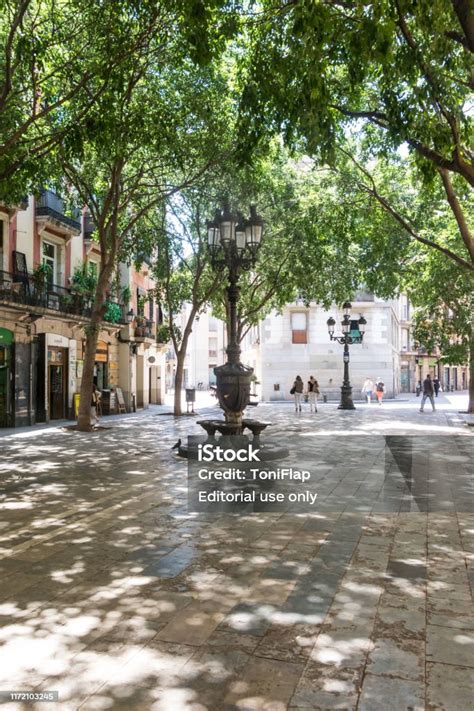 고딕과 보른 지역의 바르셀로나의 중심에 나무가 늘어선 산트 아구스티 벨 광장의 이미지 시우타트 벨라 오브 바르셀로나 스페인 거리에 대한 스톡 사진 및 기타 이미지 Istock