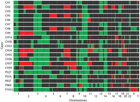 Heat Map Of Array Cgh Results Copy Number Gains Red And Losses