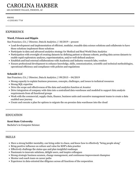 Director Data And Analytics Resume Samples Velvet Jobs